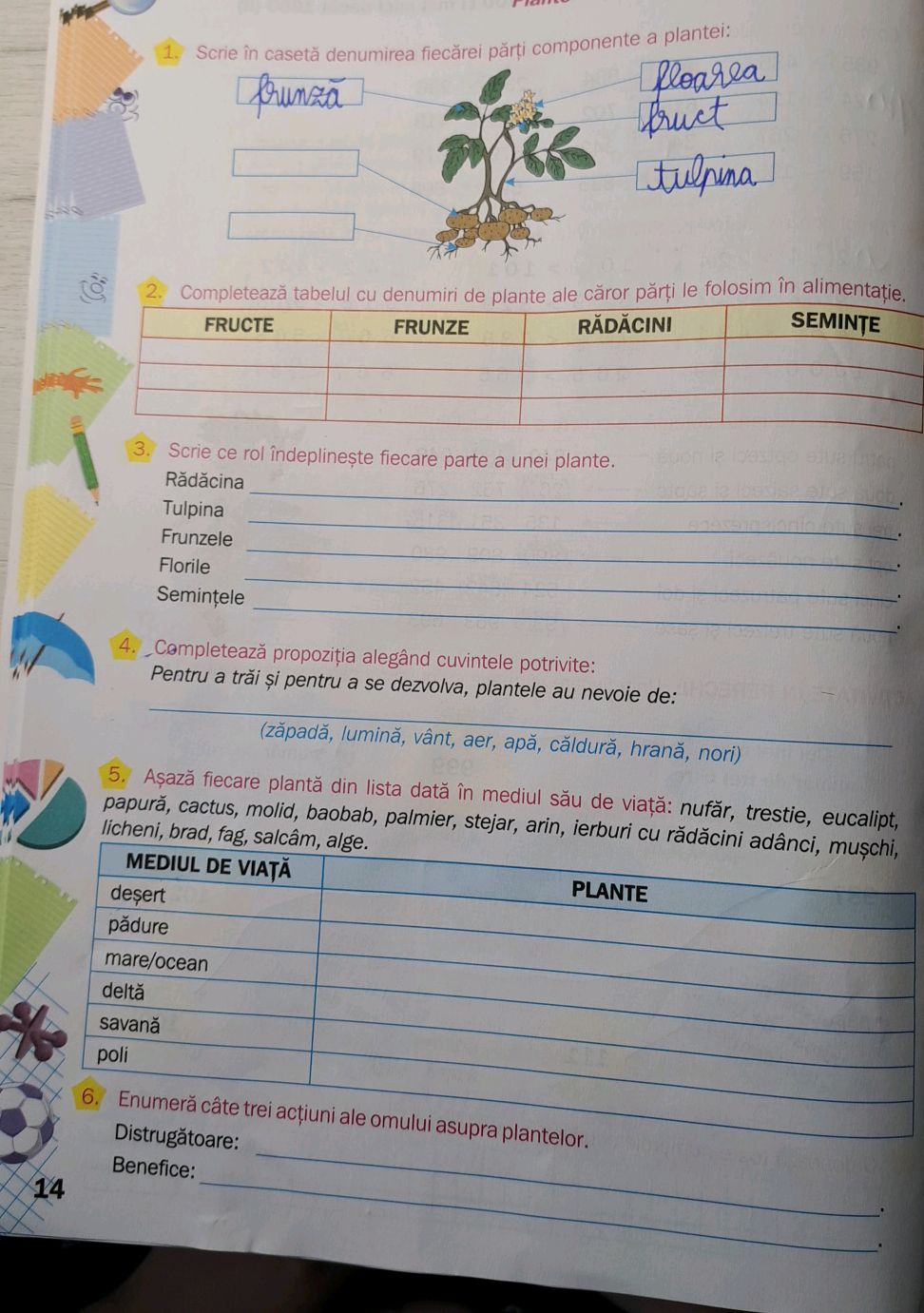 1. Scrie în casetă denumirea fiecărei părți | StudyX