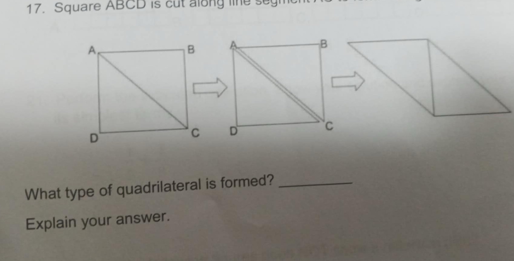 17. Square ABCD is cut along What type of | StudyX