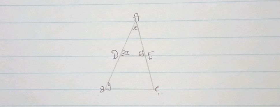 The image shows a triangle ABC with a line