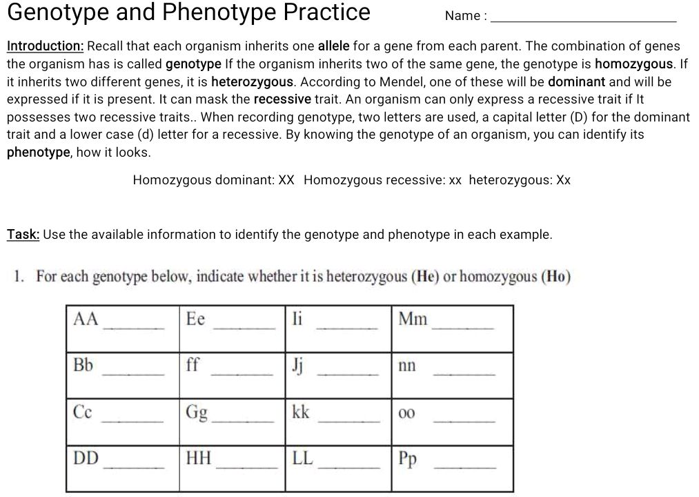 Task: Use the available information to | StudyX