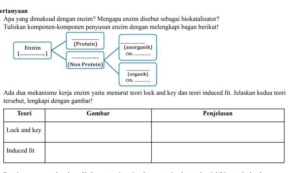 Apa yang dimaksud dengan enzim? Mengapa | StudyX