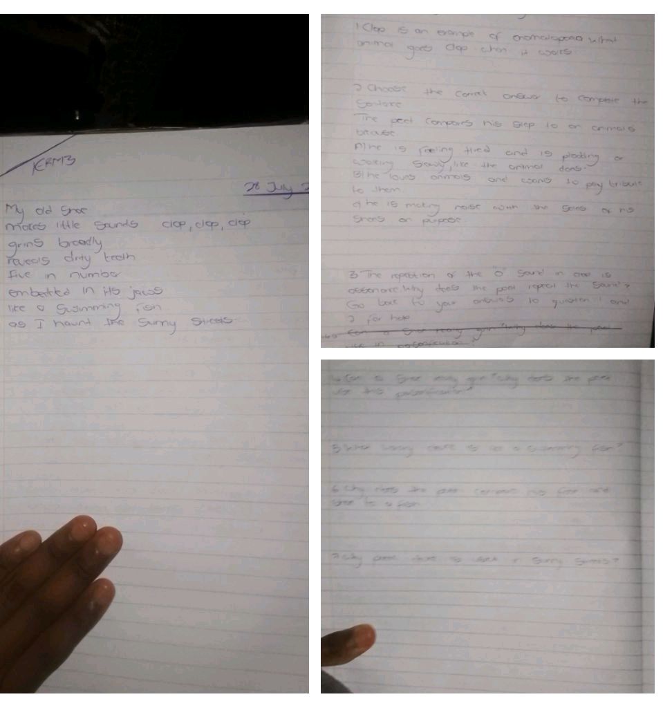 1. Clop is an example of onomatopoeia. What | StudyX