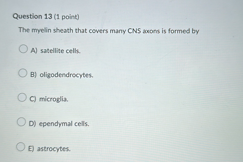 Question 13 (1 point) The myelin sheath | StudyX