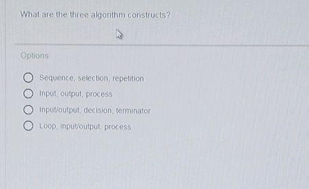 What are the three algorithm constructs? | StudyX
