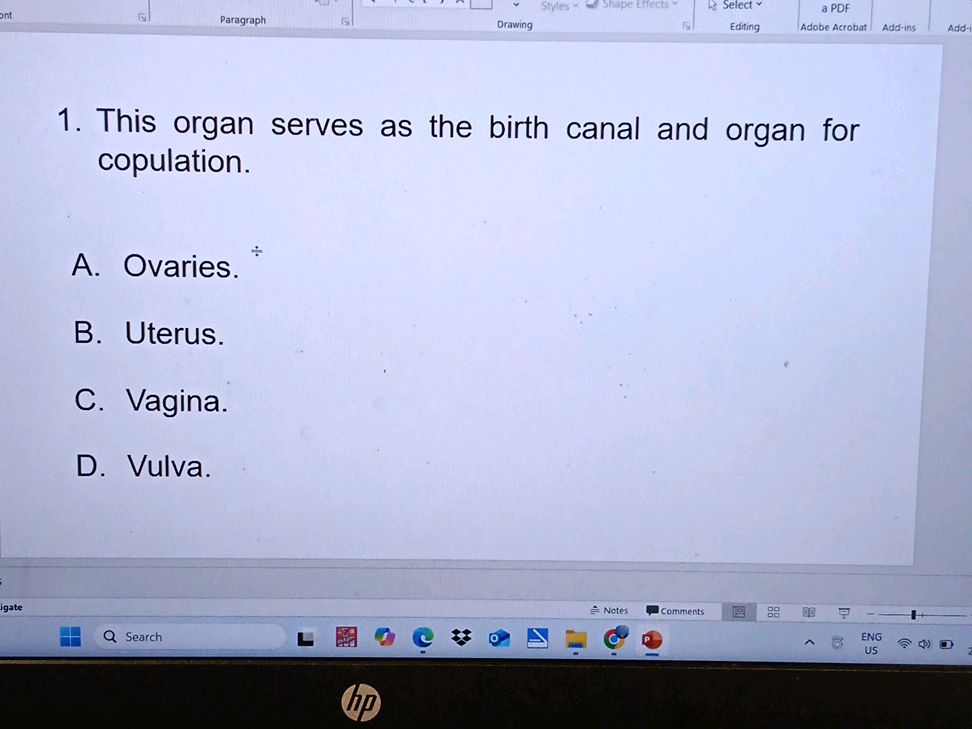 This organ serves as the birth canal and