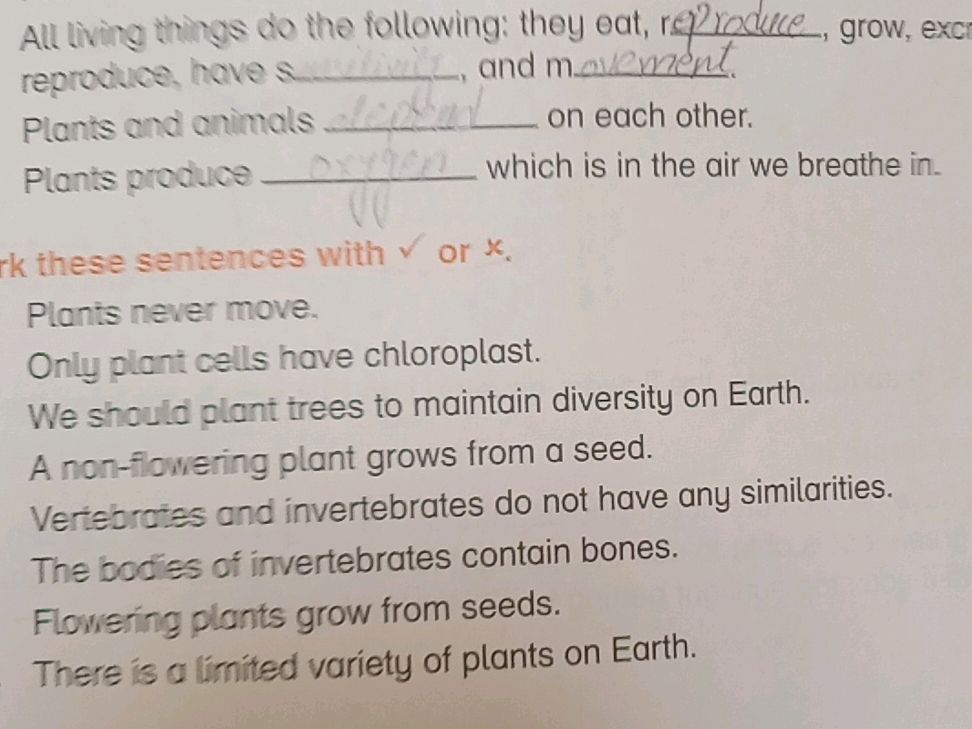 Mark these sentences with or x. Plants | StudyX