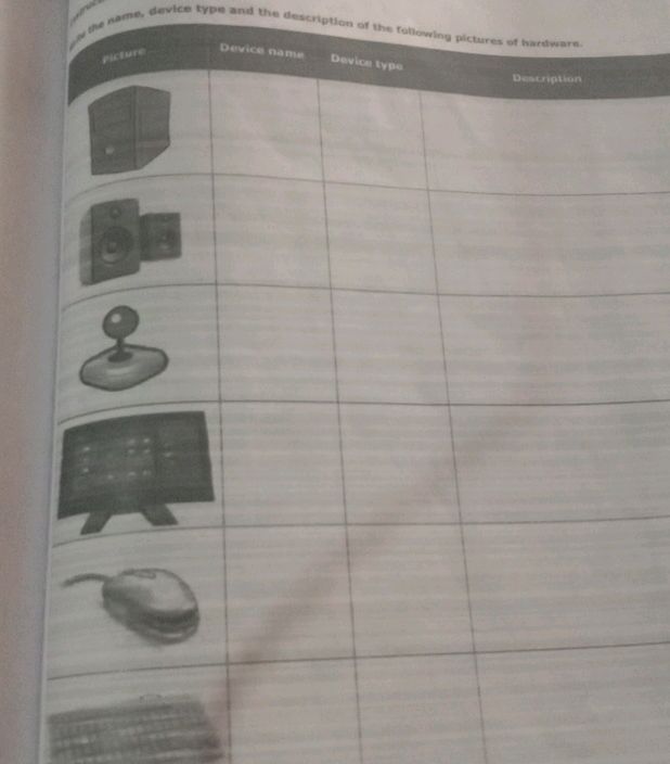 the name, device type and the description of
