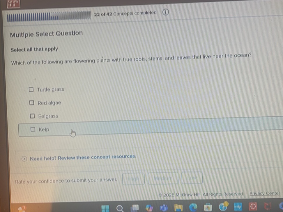 Which of the following are flowering plants | StudyX