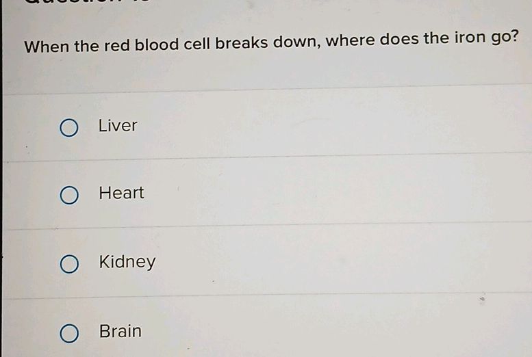 When the red blood cell breaks down, where