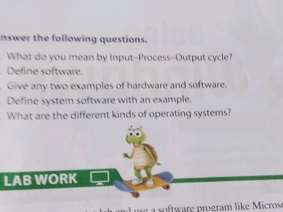 What do you mean by Input-Process-Output | StudyX