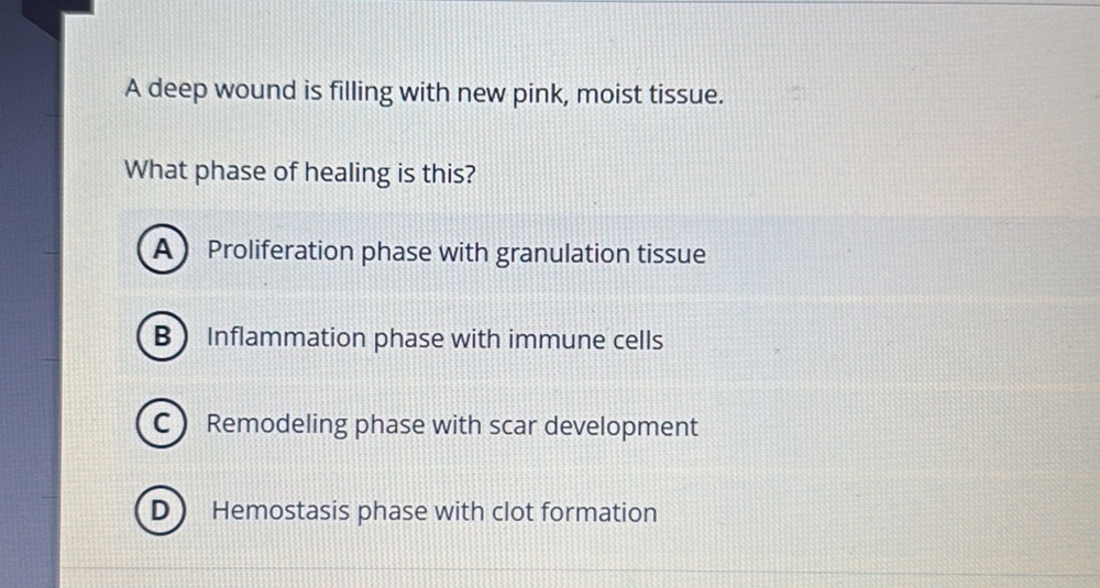 A deep wound is filling with new pink, moist