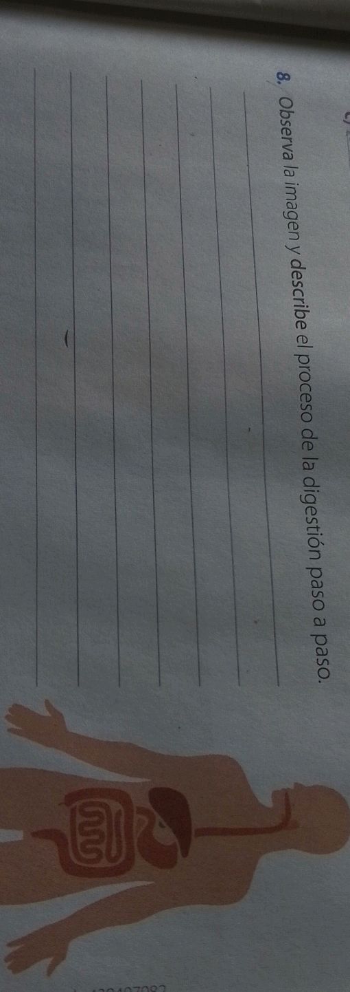 8. Observa la imagen y describe el proceso | StudyX