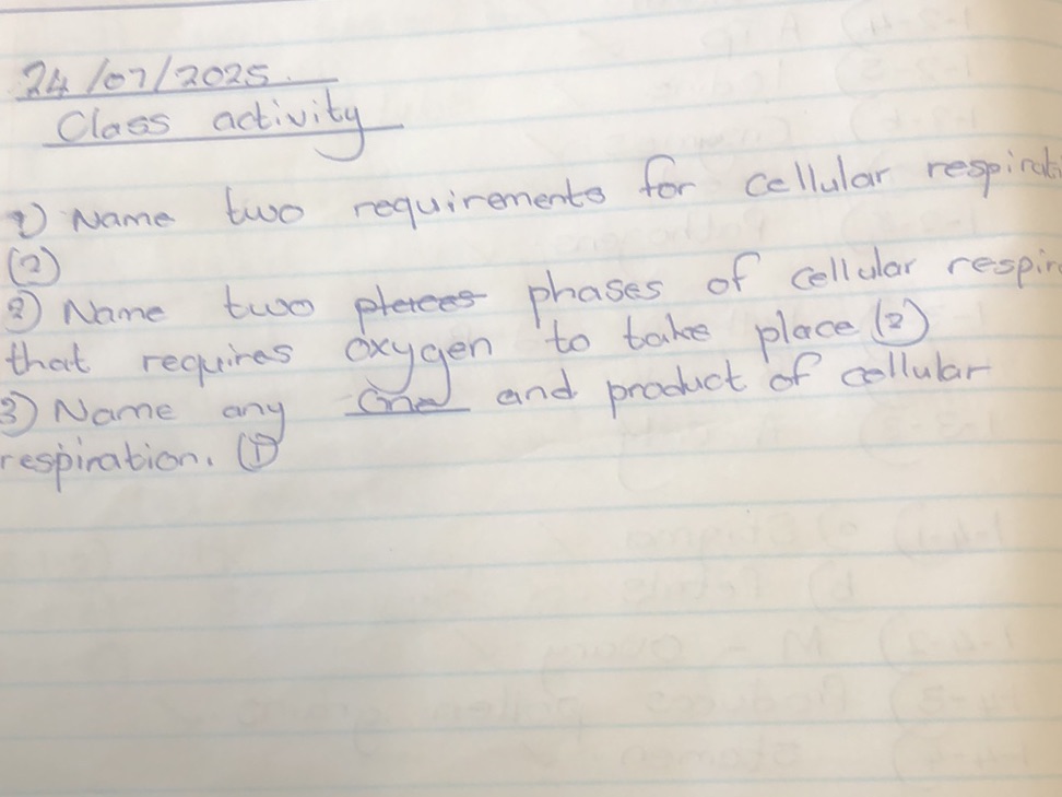 1) Name two requirements for cellular | StudyX
