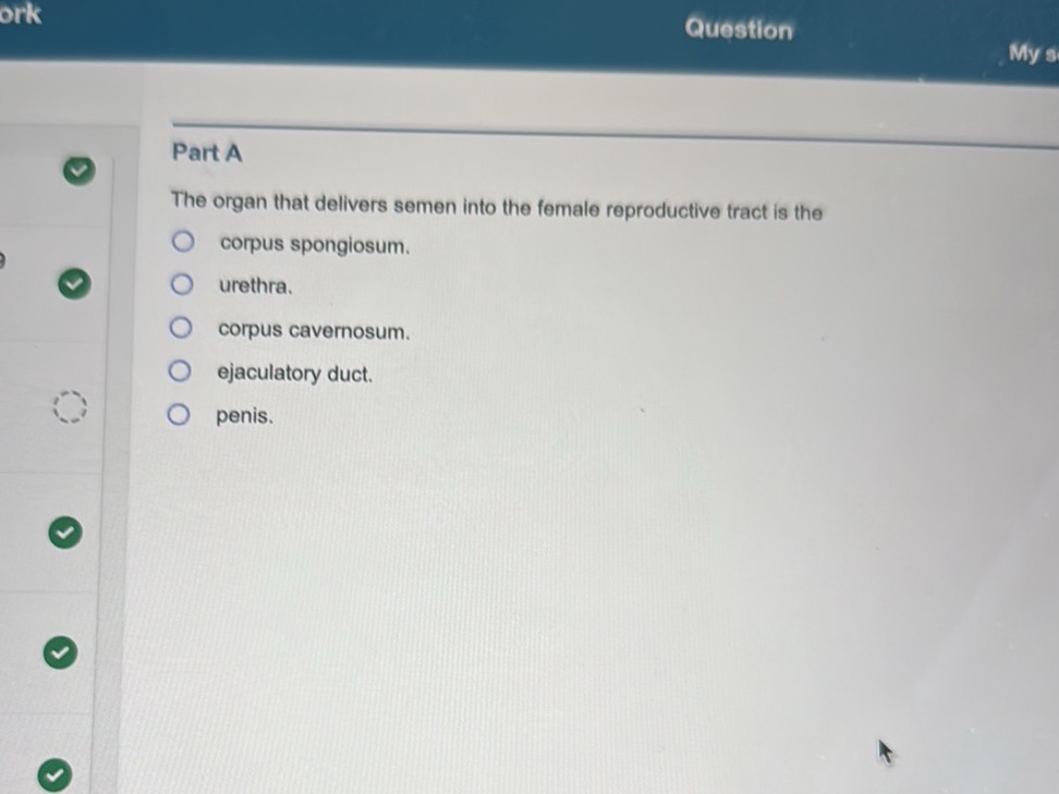 Part A The organ that delivers semen into | StudyX