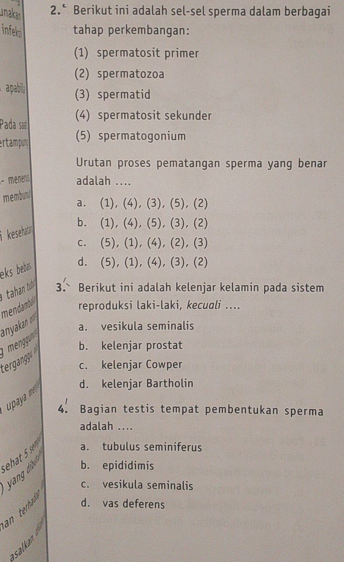 Berikut ini adalah sel-sel sperma dalam