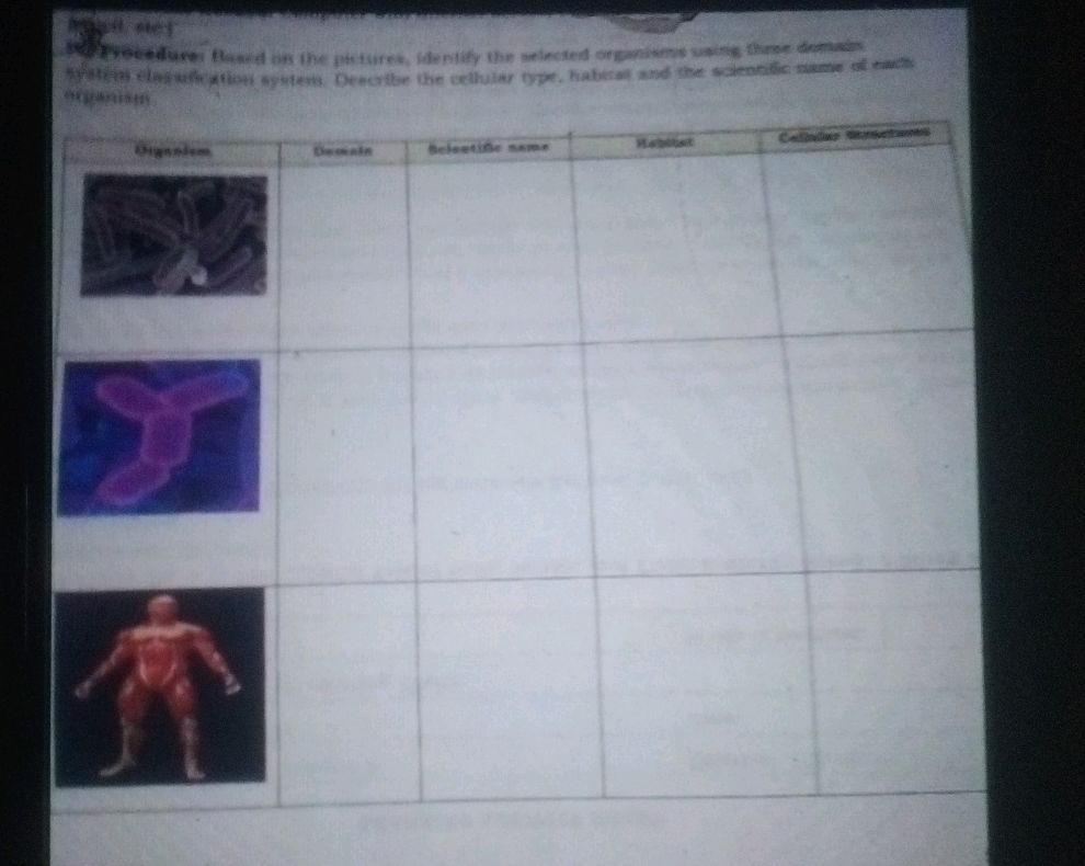 Procedure: Based on the pictures, identify | StudyX