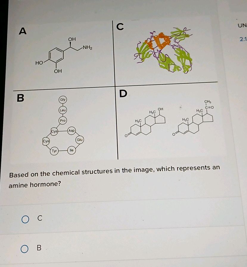 Based on the chemical structures in the