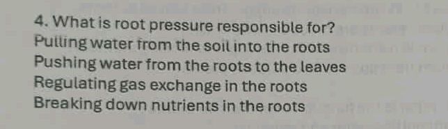 What is root pressure responsible for?