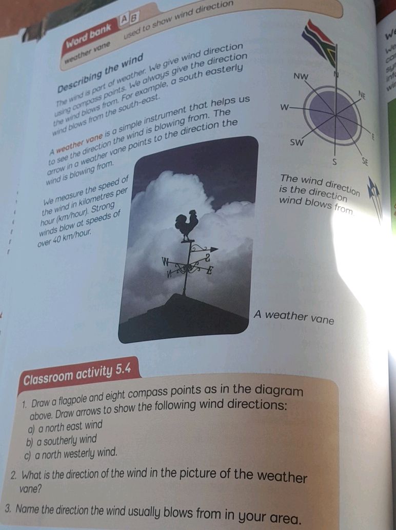 1. Draw a flagpole and eight compass points | StudyX