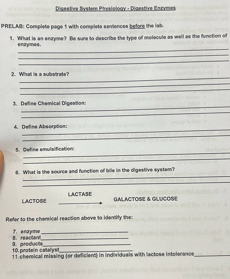 Digestive System Physiology - Digestive