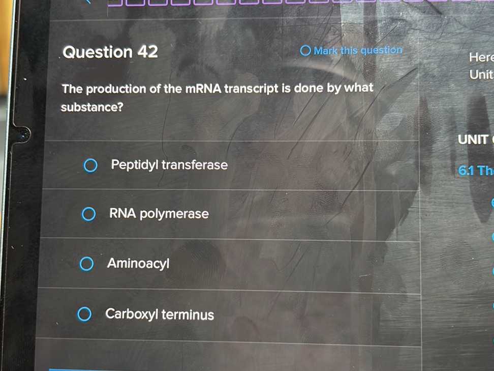 Question 42 The production of the mRNA