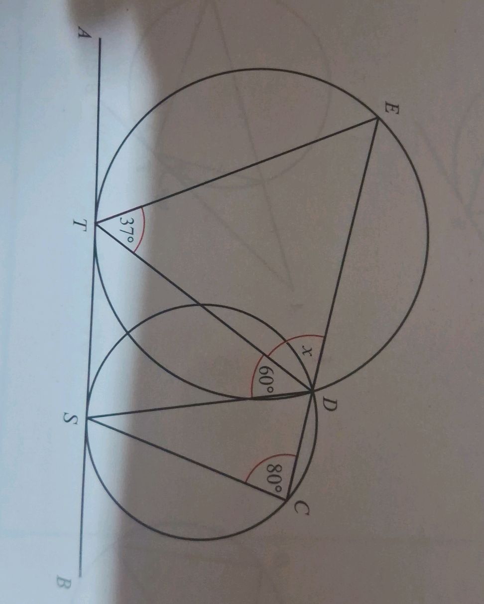 Find the value of angle x. In the diagram, | StudyX