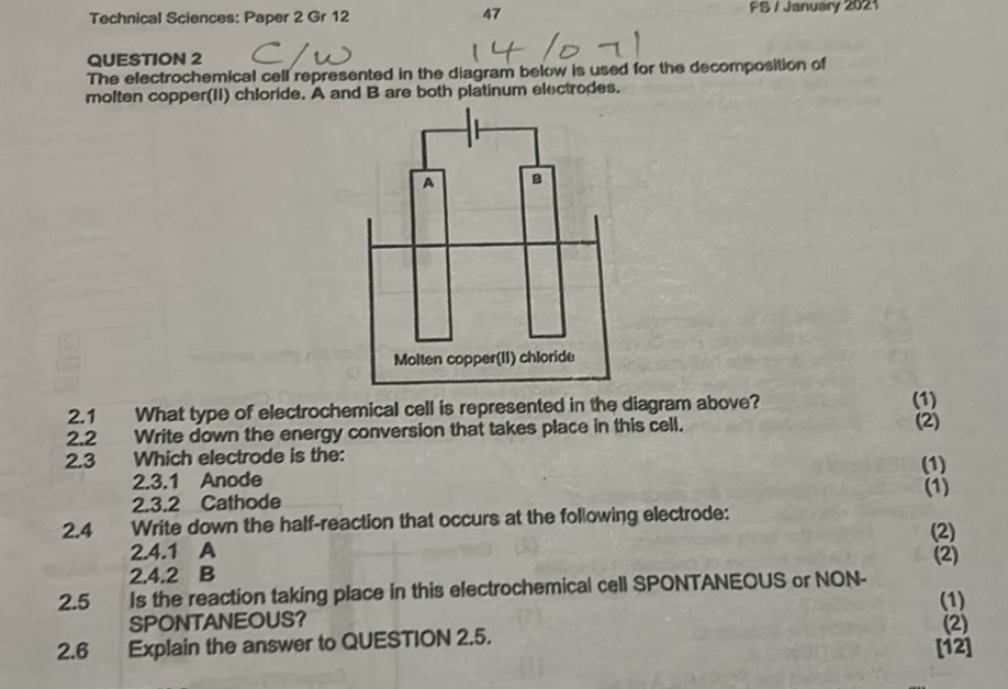 QUESTION 2 The electrochemical cell | StudyX