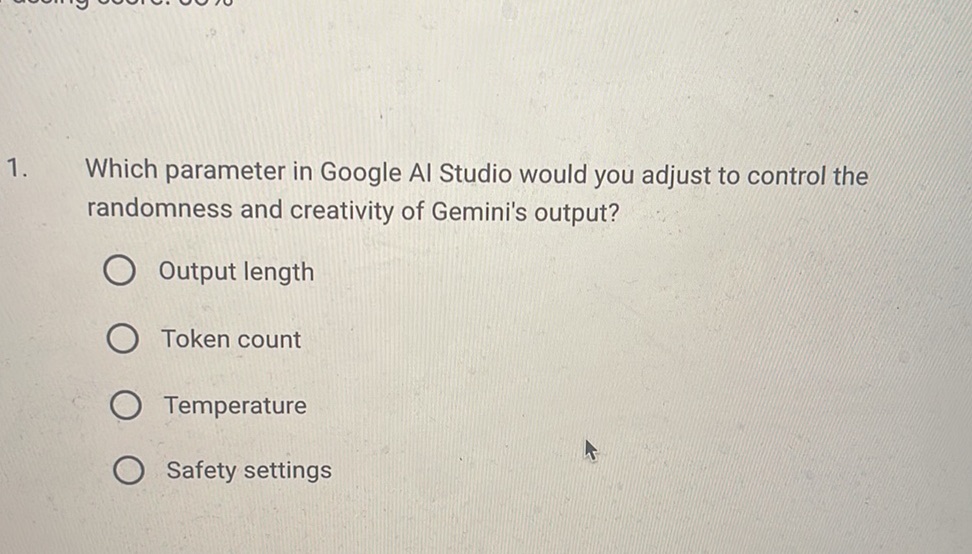 Which parameter in Google AI Studio would