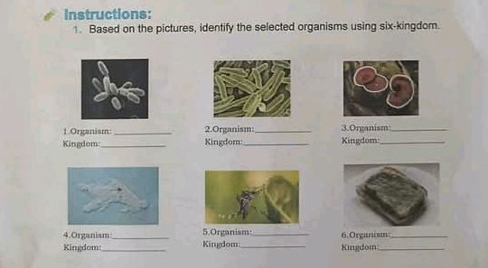 Instructions: 1. Based on the pictures,