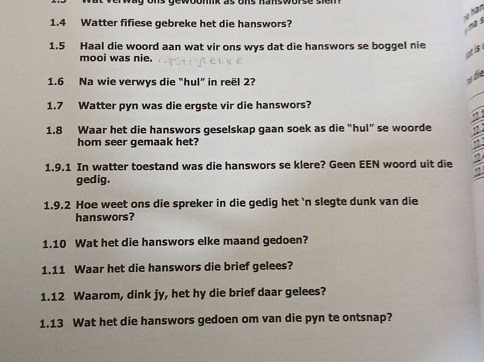 1.4 Watter fifiese gebreke het die hanswors?