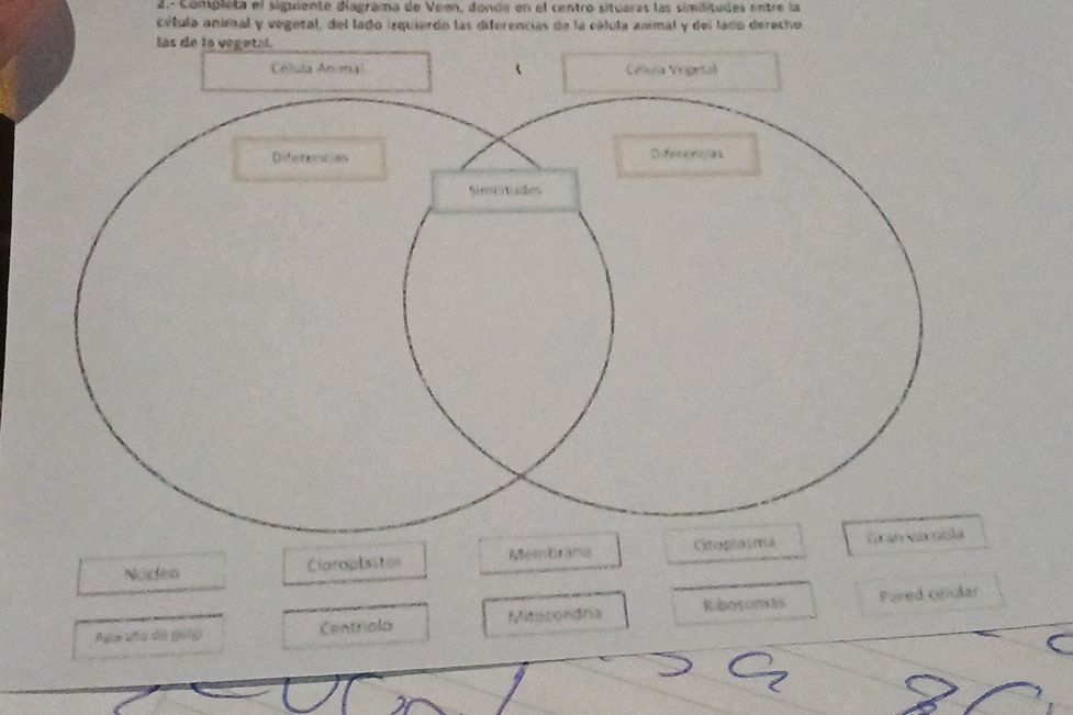 2.- Completa el siguiente diagrama de Veen, | StudyX
