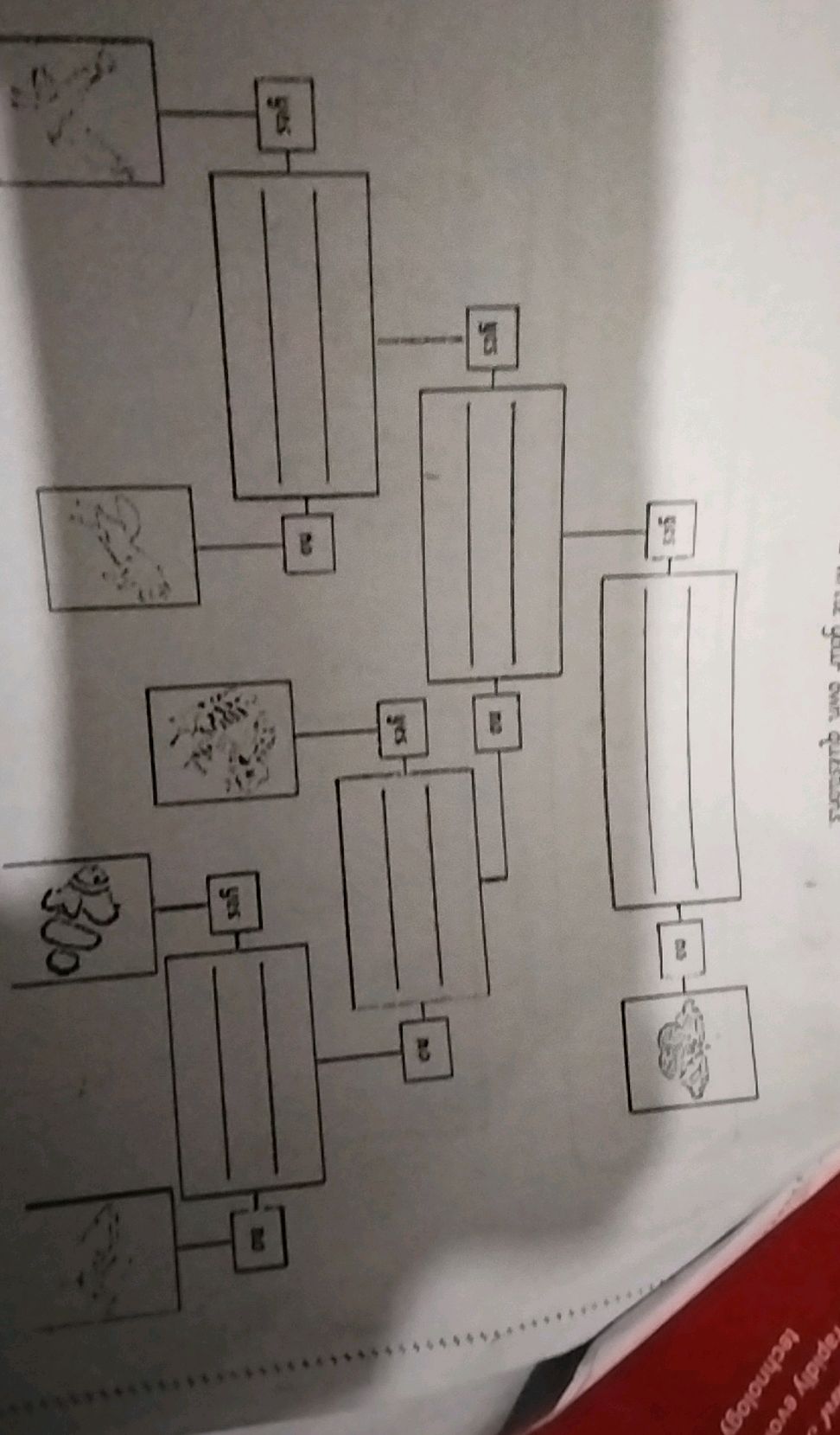 The image contains a diagram with boxes and | StudyX