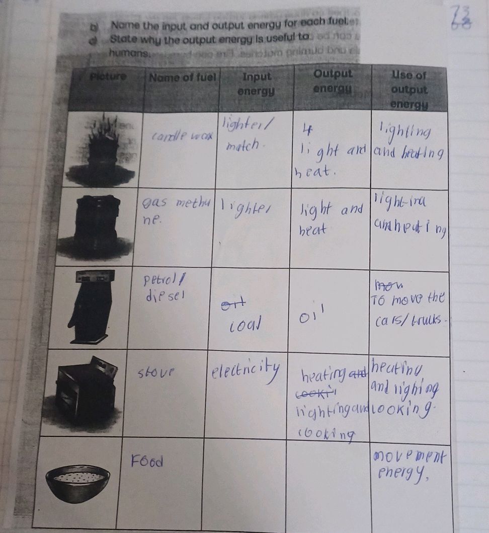 b) Name the input and output energy for each
