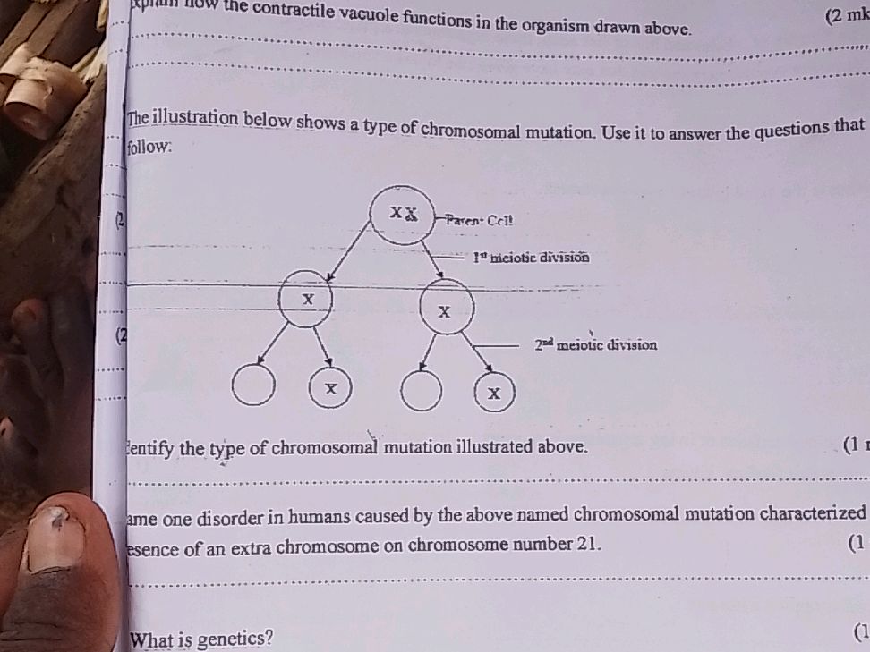 The illustration below shows a type of | StudyX