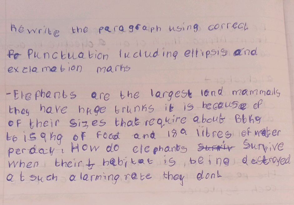Rewrite the paragraph using correct | StudyX