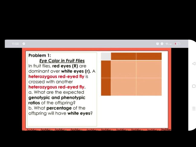 Problem 1: Eye Color in Fruit Flies In | StudyX