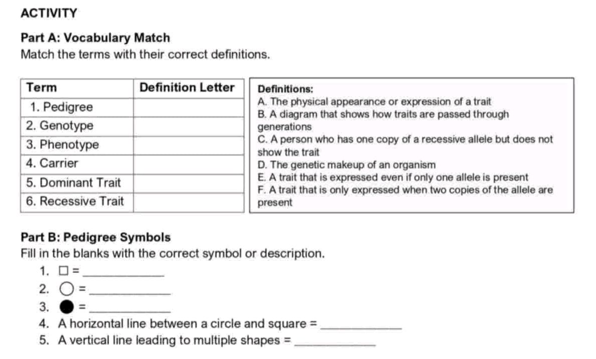 Part A: Vocabulary Match Match the terms