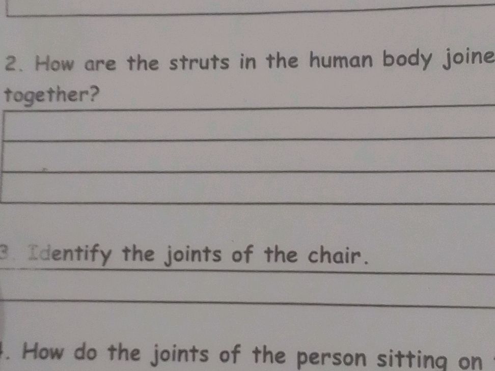 How are the struts in the human body joined