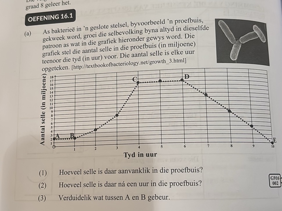 As bakterieë in 'n geslote stelsel, | StudyX