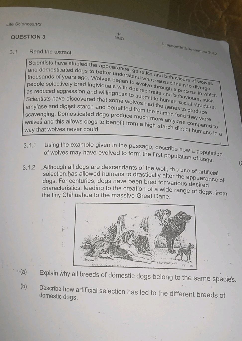 3. Read the extract. Scientists have | StudyX