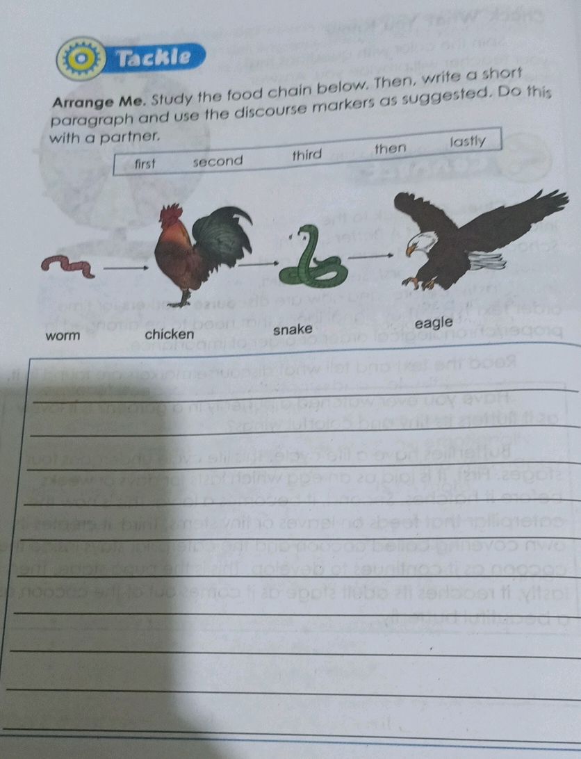 Arrange Me. Study the food chain below. | StudyX
