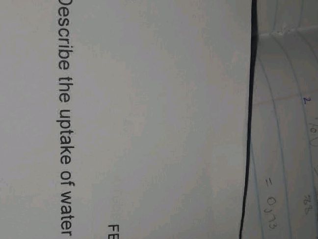 Water Uptake in Plants | StudyX