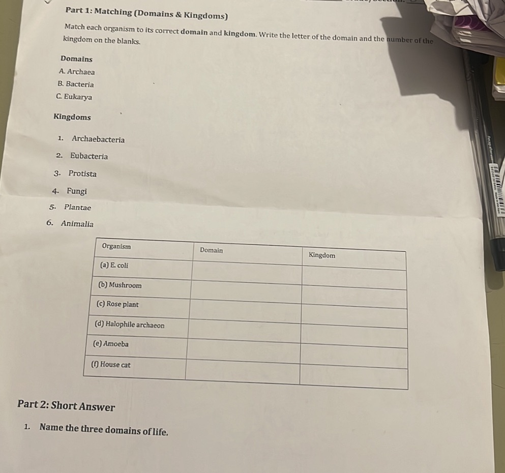 Part 1: Matching (Domains Kingdoms) Match | StudyX