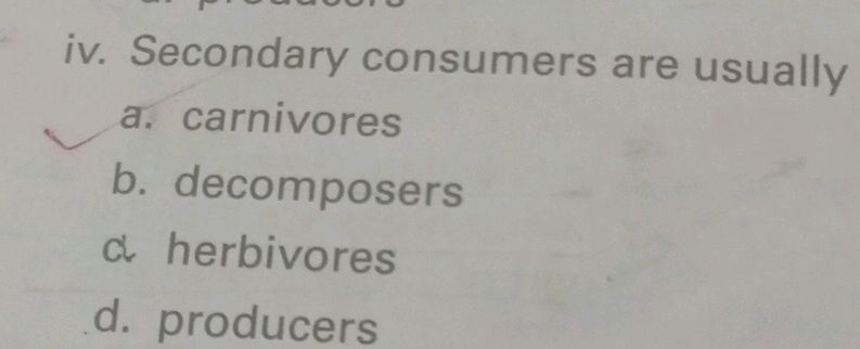 iv. Secondary consumers are usually a.