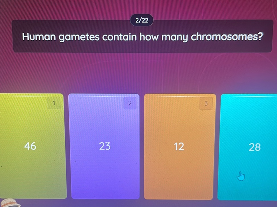 Human gametes contain how many chromosomes?