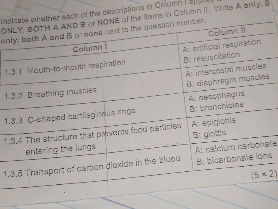 Indicate whether each of the descriptions in | StudyX