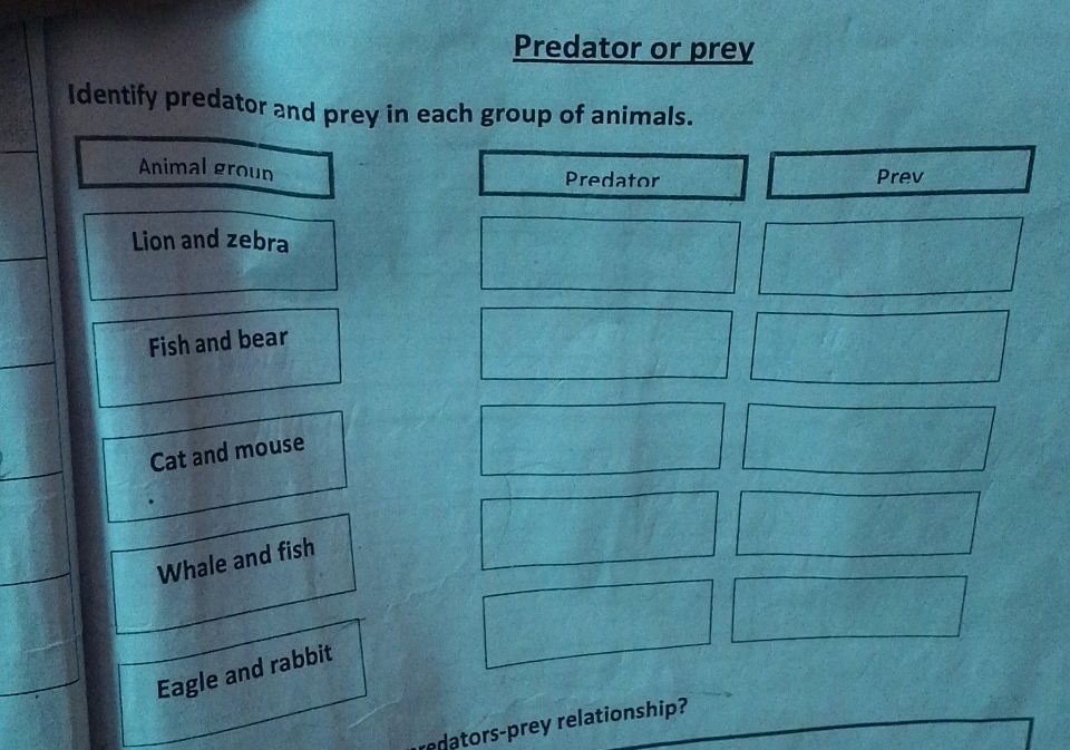 Predator or prey Identify predator and prey | StudyX