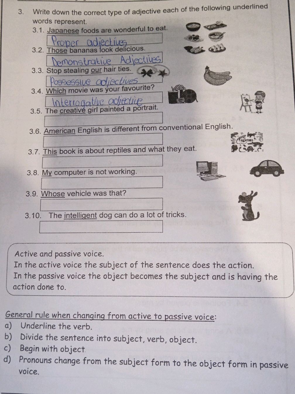 3. Write down the correct type of adjective | StudyX