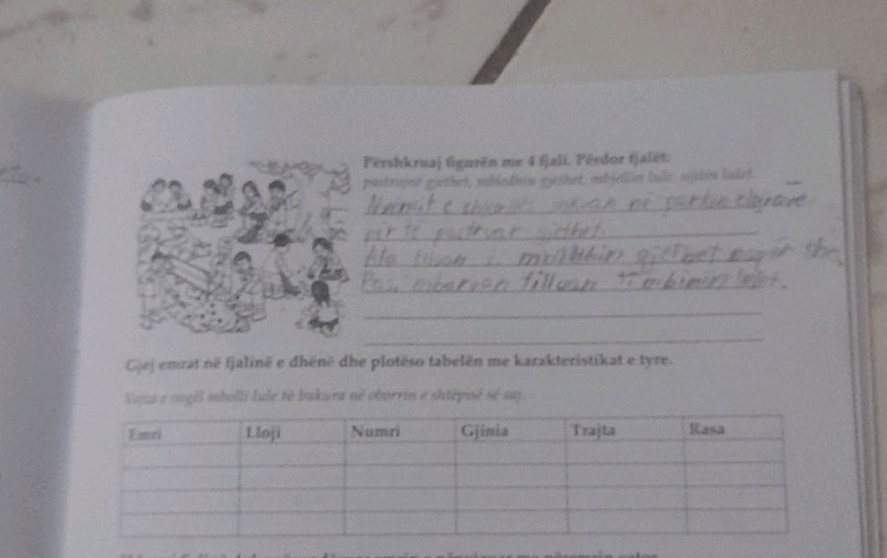 Përshkruaj figurën me 4 fjali. Përdor