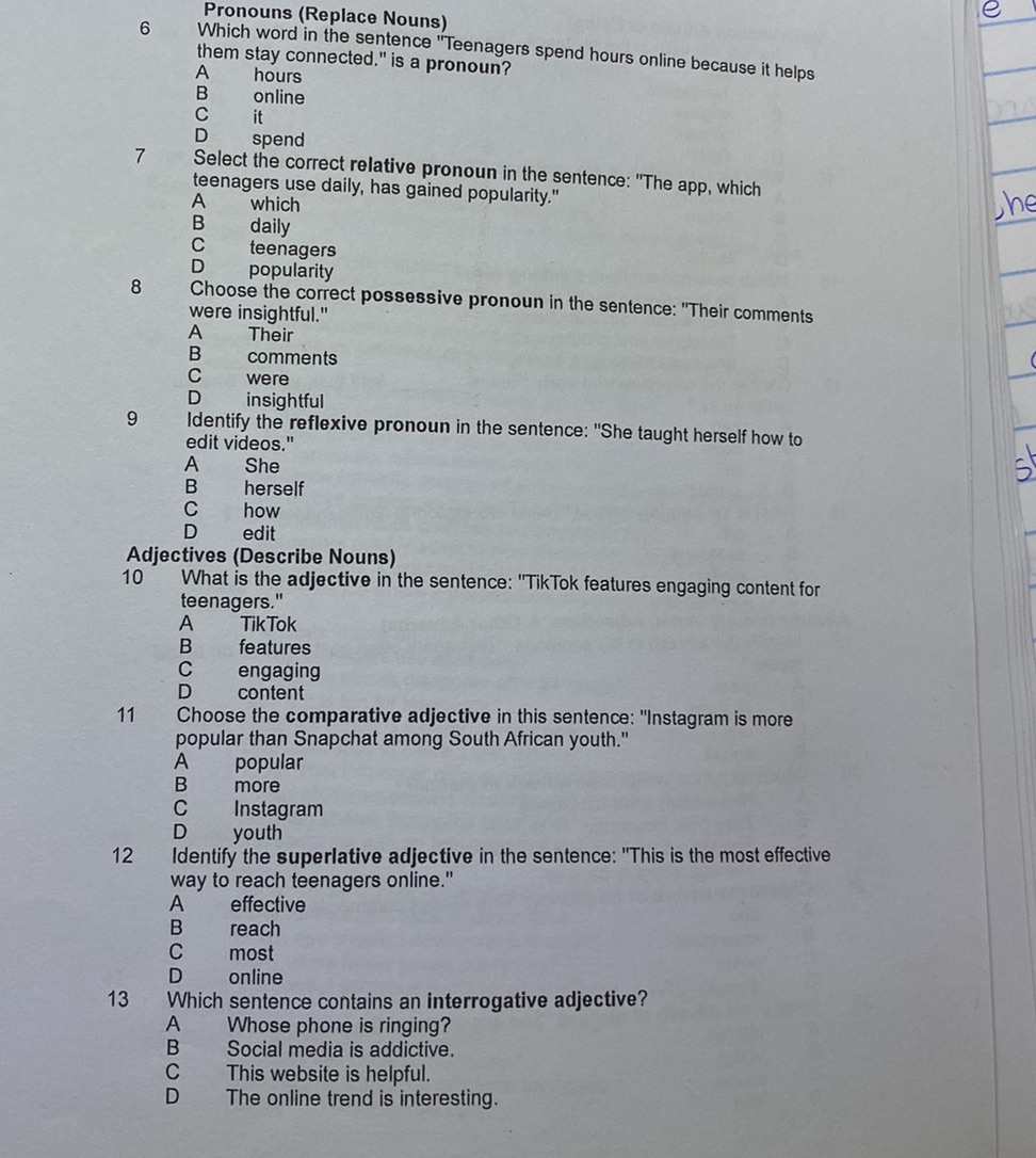 6 Pronouns (Replace Nouns) Which word in the | StudyX